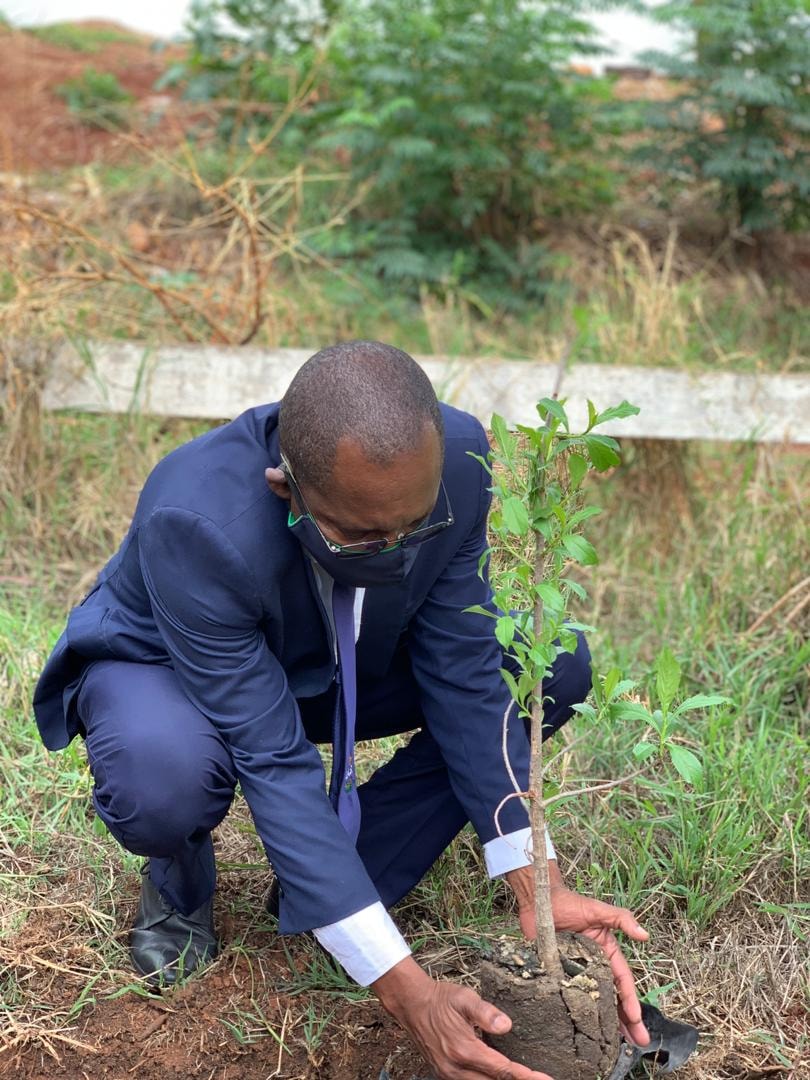 National Tree Planting Day – Zimbabwe Agricultural Society